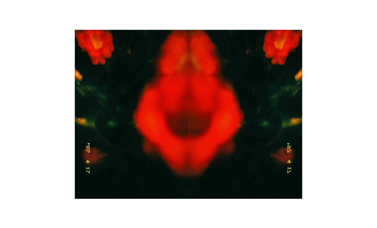 トーキョーアナログ vol.006 | Tokyo analog | 東京アナログ